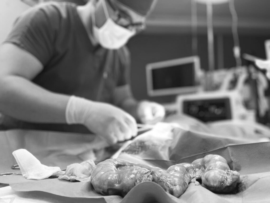 Pyometra nedir? | Bayrampaşa Veteriner Kliniği 7/27 Veteriner Kliniği